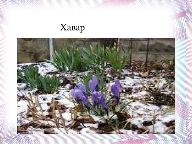 дөрвөн улирал | ODP