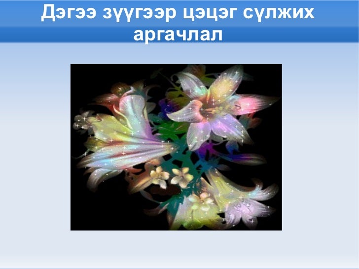 дэгээ зүү