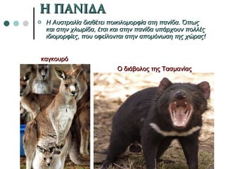αυστραλια | PPT