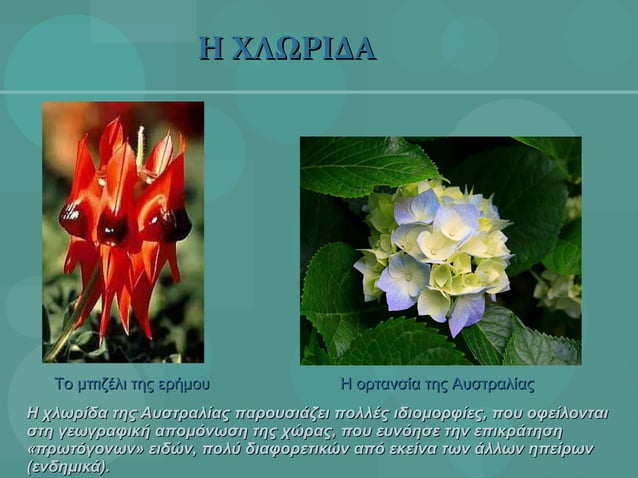 αυστραλια | PPT