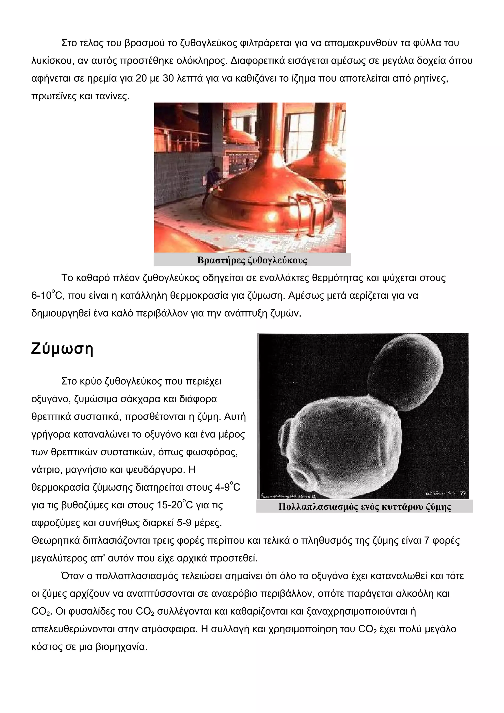 στάδια παραγωγής της μπύρας | DOC