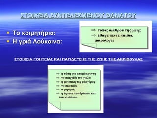 το μοιρολογι-της-φωκιας | PPT