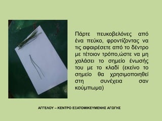 κοσμήματα από πευκοβελόνες | PPTX