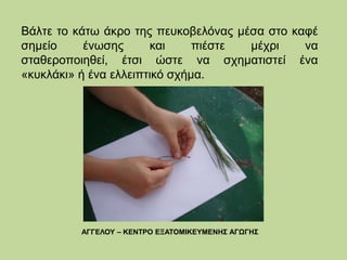 κοσμήματα από πευκοβελόνες | PPTX