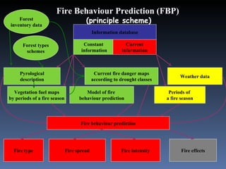 MANAGEMENT OF ACTIVE FOREST FIRES ON THE BASIS OF THEIR BEHAVIOR ...