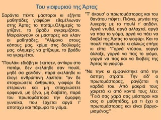 ΤΟΥ ΓΙΟΦΥΡΙΟΥ ΤΗΣ ΑΡΤΑΣ | ODP
