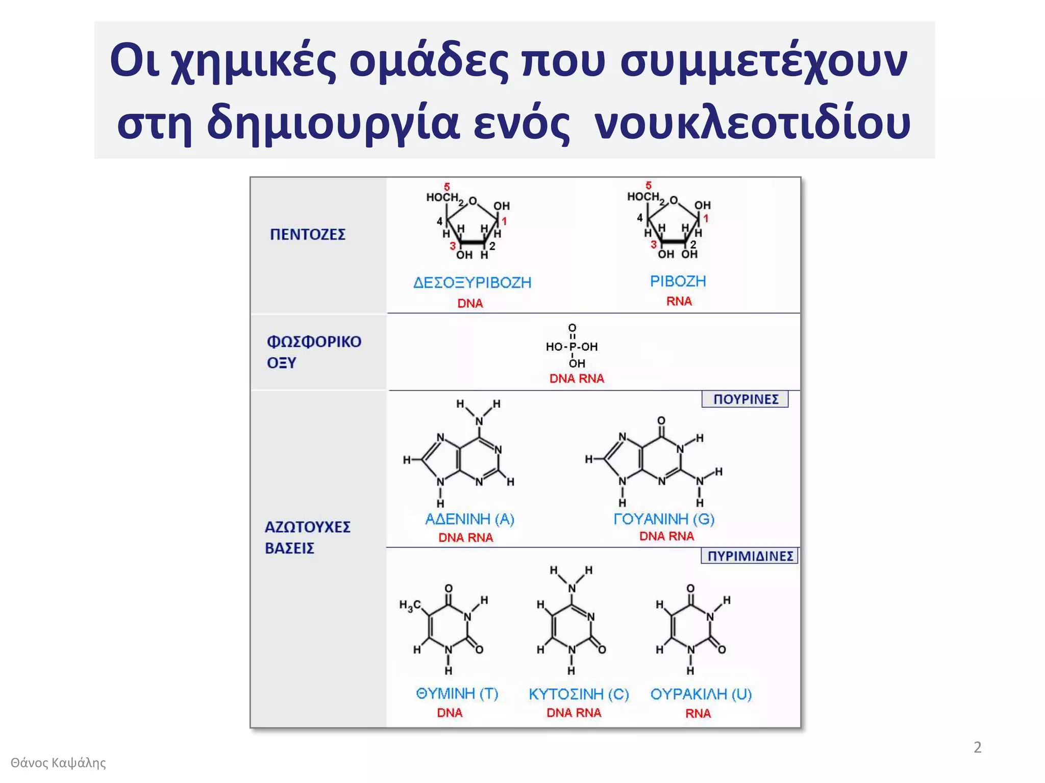 Δομη γενετικου υλικου | PPTX