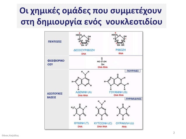 Δομη γενετικου υλικου | PPTX
