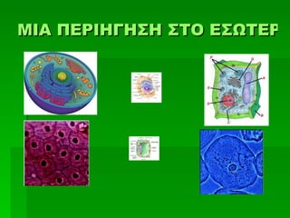 κυτταρο | PPT