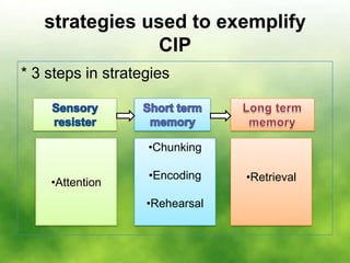 정보처리이론 파헤치기 | PPT