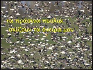 ΠΙΝΟΝΤΑΣ ΗΛΙΟ ΚΟΡΙΝΘΙΑΚΟ | PPT