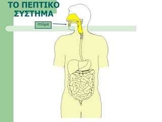 το πεπτικο συστημα | PPT