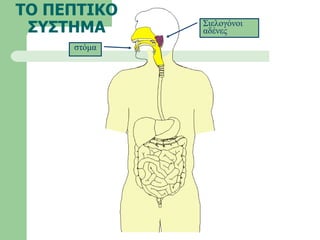 το πεπτικο συστημα | PPT