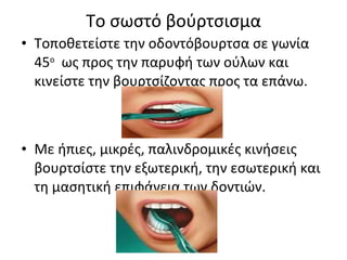 Τα είδη των δοντιών μας και τα μέρη τους | PPT