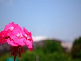 Individual Assignment | PPT