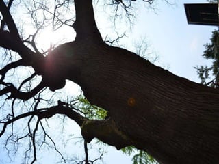 Individual Assignment | PPT