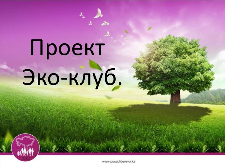 Эко Клубы