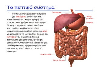 το πεπτικό σύστημα του ανθρώπου | PPT