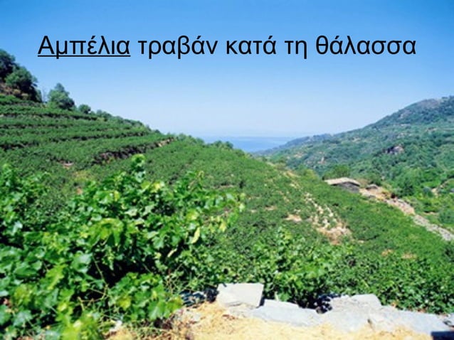 ο τοπος μας | PPT