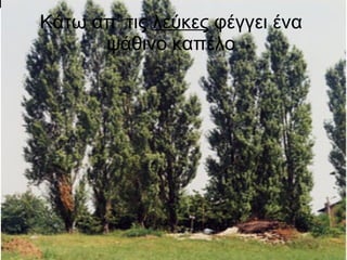 ο τοπος μας | PPT