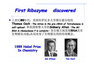 Ribozyme 核酶 (英文及中文） 最终成稿 | PDF