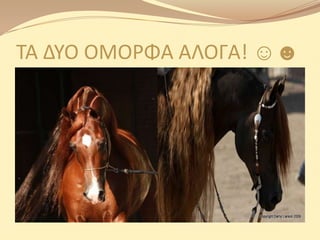 Γρηγοροπούλου | PPT