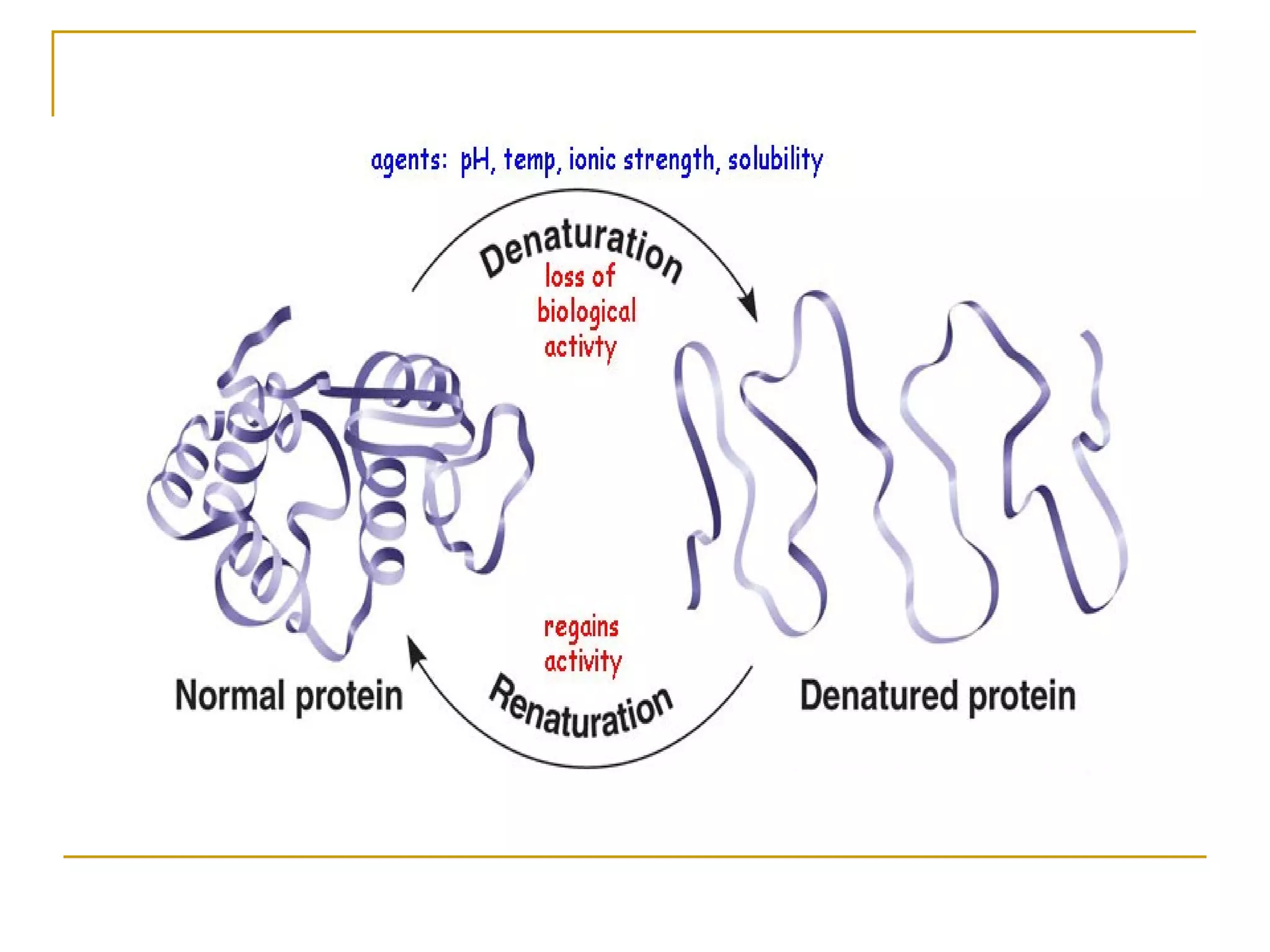 ΜΗΧΑΝΙΣΜΟΙ ΑΜΥΝΑΣ ΤΟΥ ΑΝΘΡΩΠΙΝΟΥ ΟΡΓΑΝΙΣΜΟΥ | PPT
