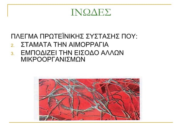ΜΗΧΑΝΙΣΜΟΙ ΑΜΥΝΑΣ ΤΟΥ ΑΝΘΡΩΠΙΝΟΥ ΟΡΓΑΝΙΣΜΟΥ | PPT