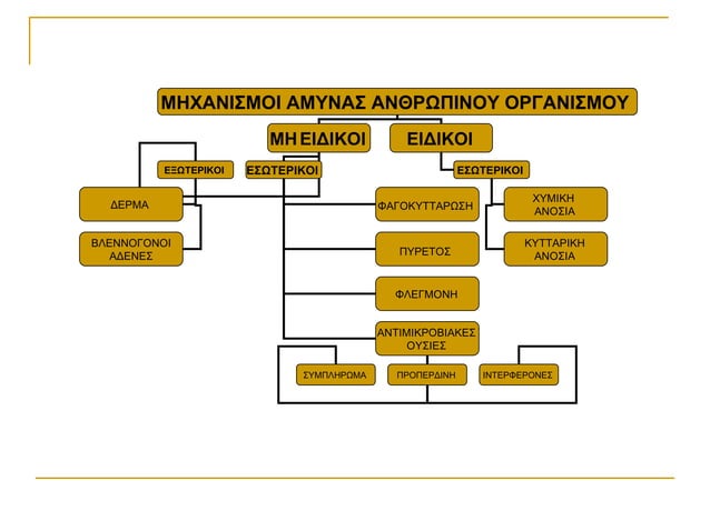 ΜΗΧΑΝΙΣΜΟΙ ΑΜΥΝΑΣ ΤΟΥ ΑΝΘΡΩΠΙΝΟΥ ΟΡΓΑΝΙΣΜΟΥ | PPT