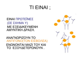 ΑΝΤΙΣΩΜΑΤΑ - ΑΝΟΣΟΣΦΑΙΡΙΝΕΣ | PPT