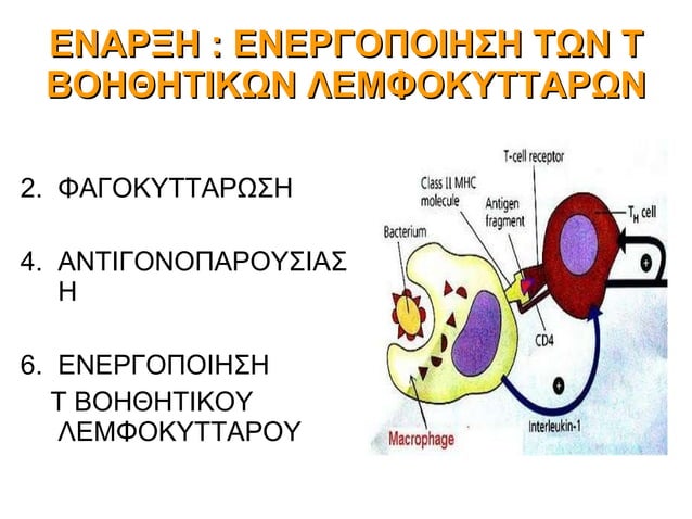 ΕΙΔΙΚΟΙ ΜΗΧΑΝΙΣΜΟΙ ΑΜΥΝΑΣ | PPT