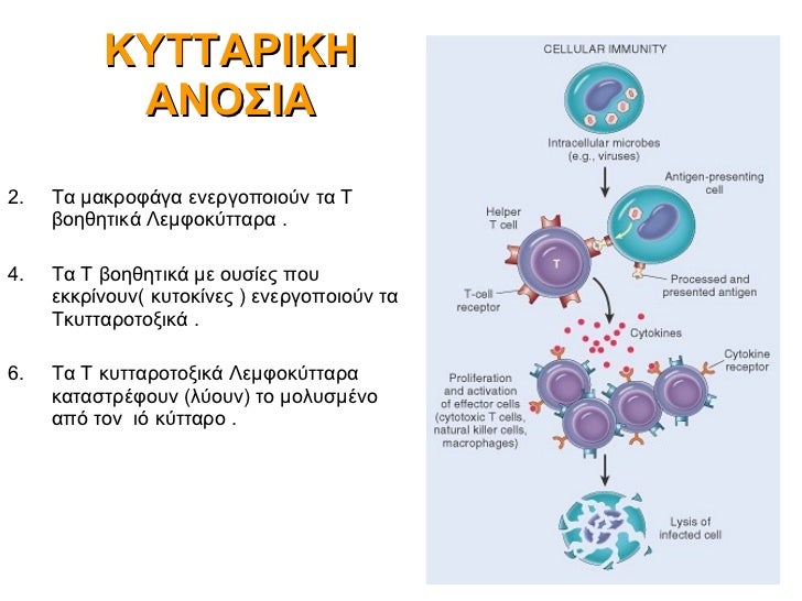 ΕΙΔΙΚΟΙ ΜΗΧΑΝΙΣΜΟΙ ΑΜΥΝΑΣ
