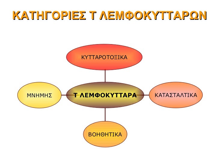 ΕΧΩ ΠΟΛΛΑ ΛΕΜΦΟΚΥΤΤΑΡΑ.. – kosmasser's Internal Life