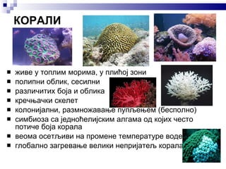 Dupljari 6. razred | PPT