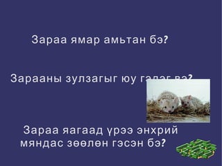 hamgiin hoorhon amitan | ODP