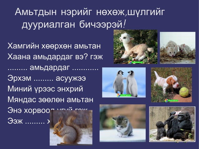 hamgiin hoorhon amitan | ODP