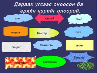 hamgiin hoorhon amitan | ODP
