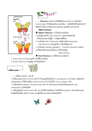 ต่อมไร้ท่อ | PDF