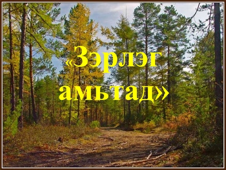 зэрлэг амьтад