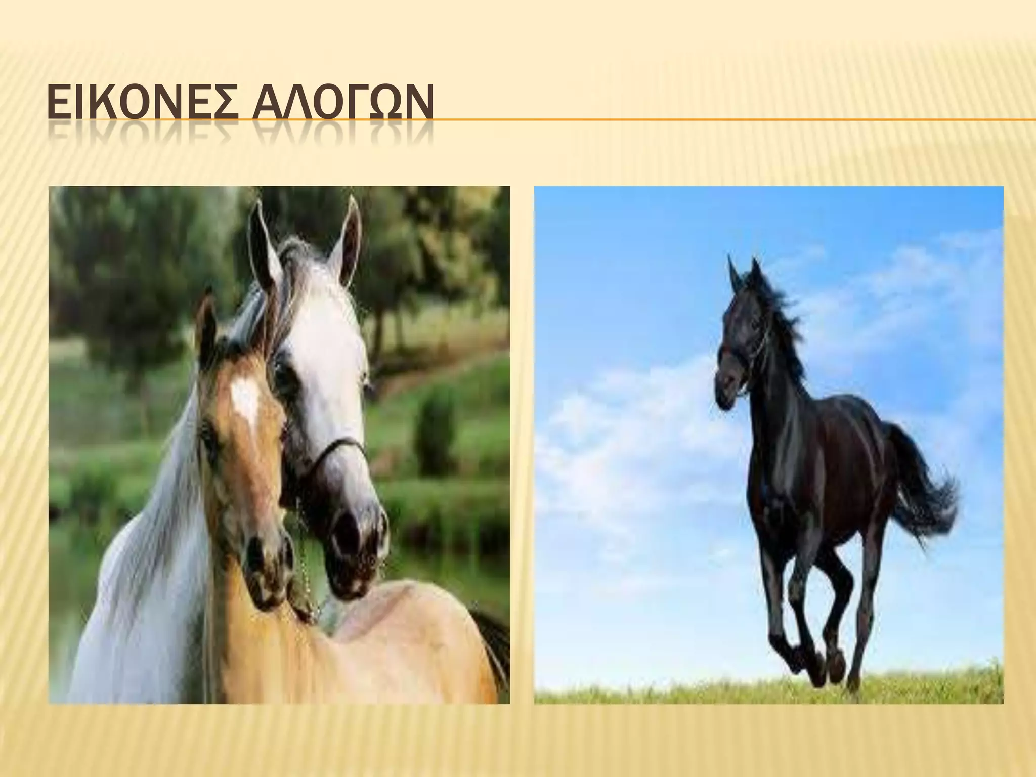 αργυρού | PPT