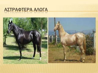 αργυρού | PPTX