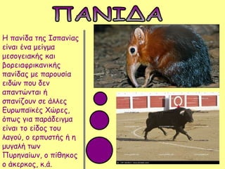 ισπανια | PPT
