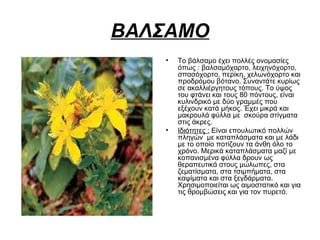 ιαματικες ιδιοτητες των βοτανων | PPT