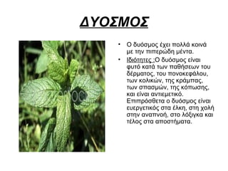 ιαματικες ιδιοτητες των βοτανων | PPT