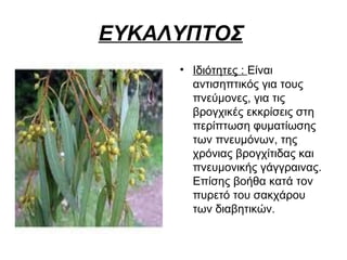 ιαματικες ιδιοτητες των βοτανων | PPT