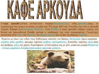 Τα θηλαστικά που ζουν στα ελληνικά δάση | PPT