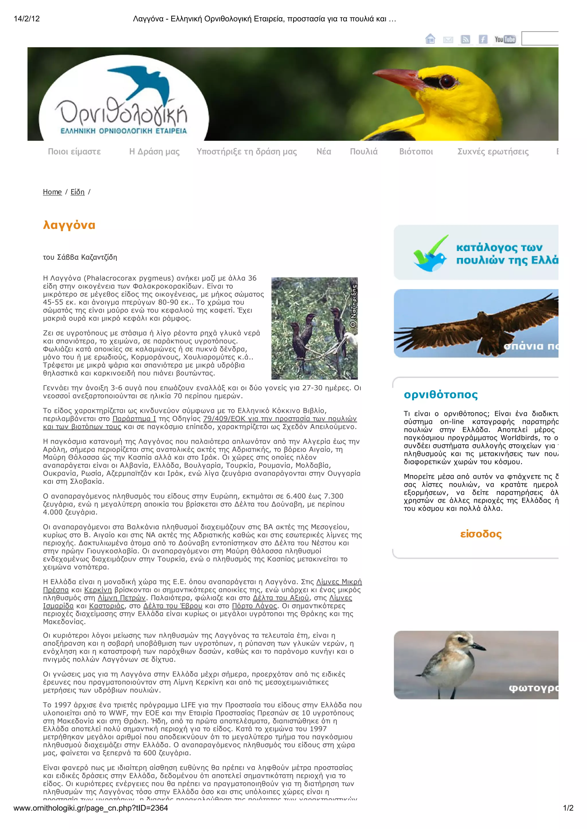 λαγγόνα ελληνική ορνιθολογική εταιρεία, προστασία για τα πουλιά και το ...