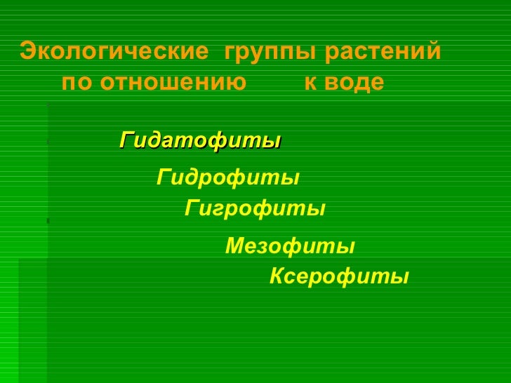 гидатофиты