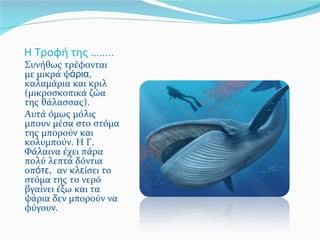 γαλάζια φάλαινα | PPT