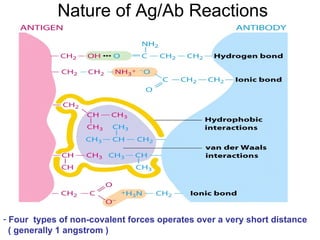 immunology | PPT